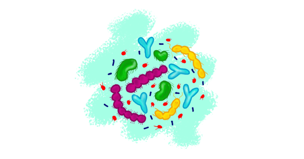 Comparison Of 15 Probiotic Foods In India Natural And Synthetic